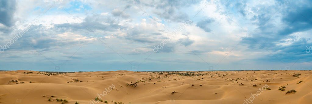 Panorama 180 of the desert in spring from a bird's eye view. Sand dunes ...