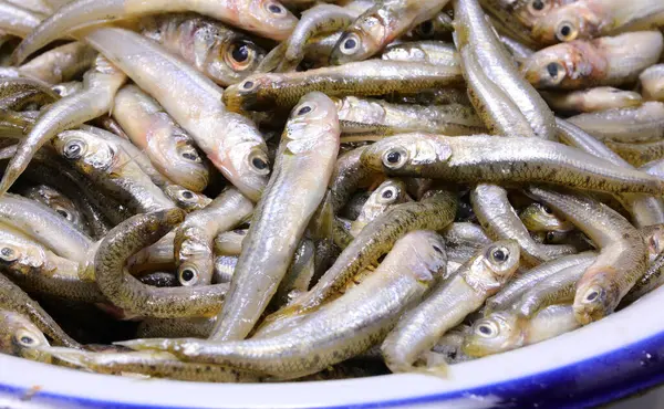 dish with many caught fish called sand smelt of the family Atherinidae ...