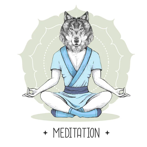 Meditar animal Stock Photos, Royalty Free Meditar animal Images ...