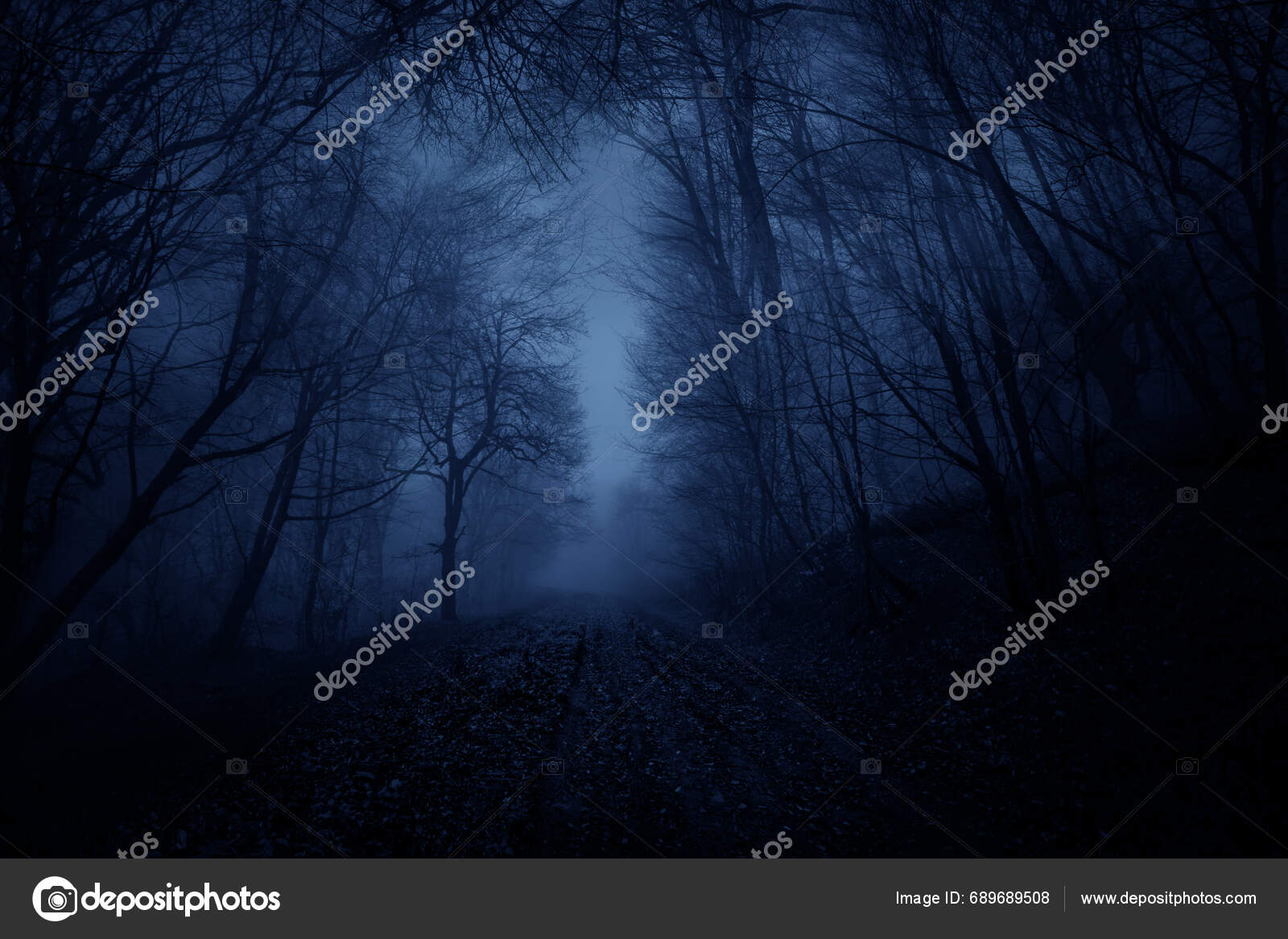 Scary Mysterious Glowing Blue Path Dark Enchanted Forest Night ...