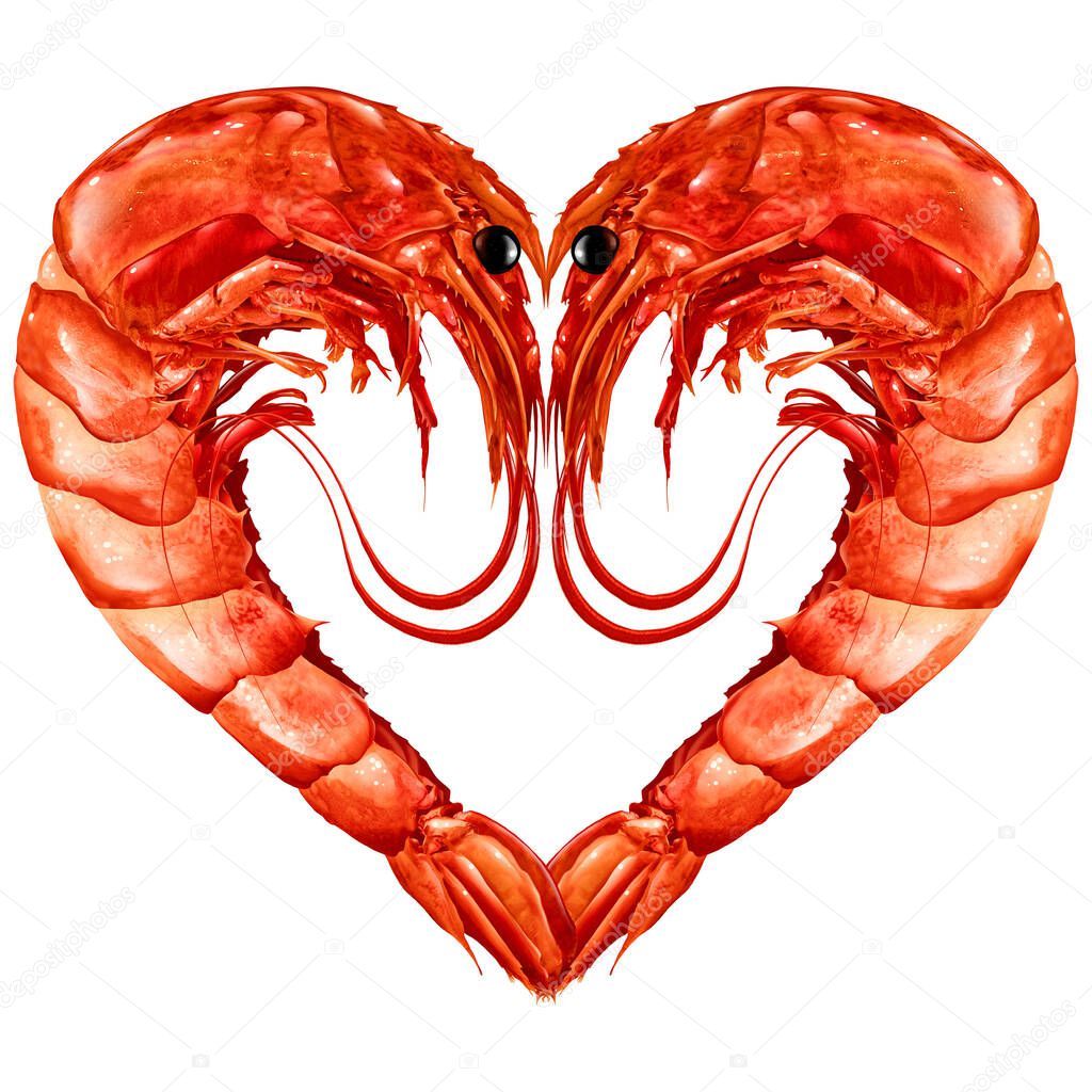 Los camarones aman el símbolo del corazón aislado sobre un fondo blanco ...