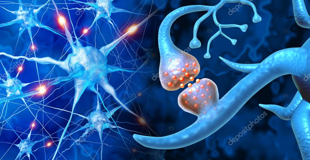 Sinapsis Neurología cerebral Cerebro humano Neurología y terminaciones nerviosas cognitivas como ...