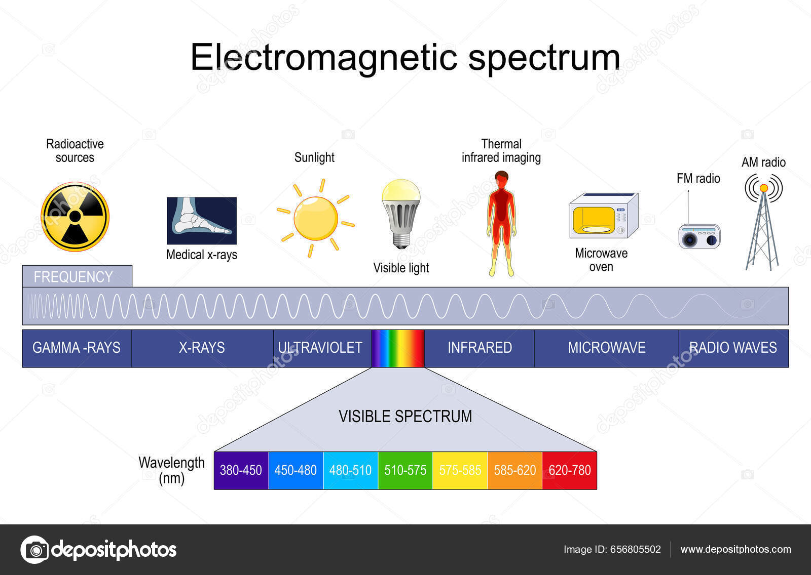 Ejemplos De Ondas De Radio Del Espectro Electromagnético
