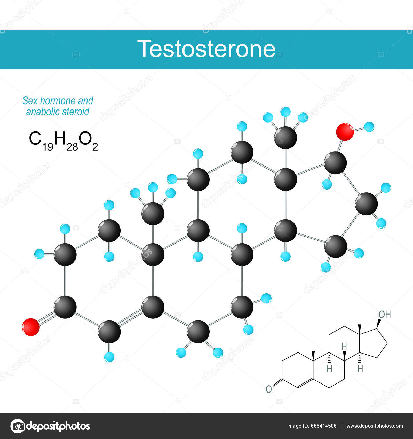 Molecula De Testosterona
