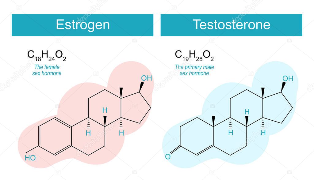 testosterona y moléculas de estrógeno. Comparación y diferencia ...
