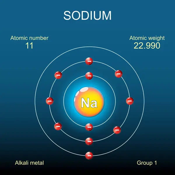 38 Bohr model Vector Images | Depositphotos