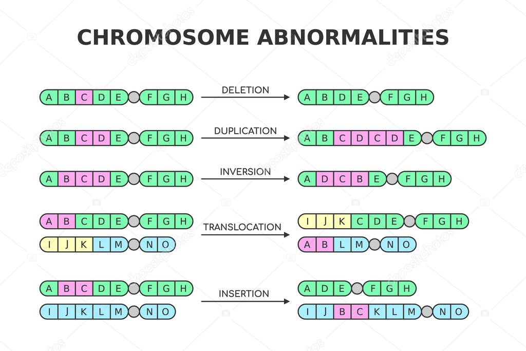 Anormalidades cromosómicas. Eliminación, duplicación, inversión, translocación, inserción ...