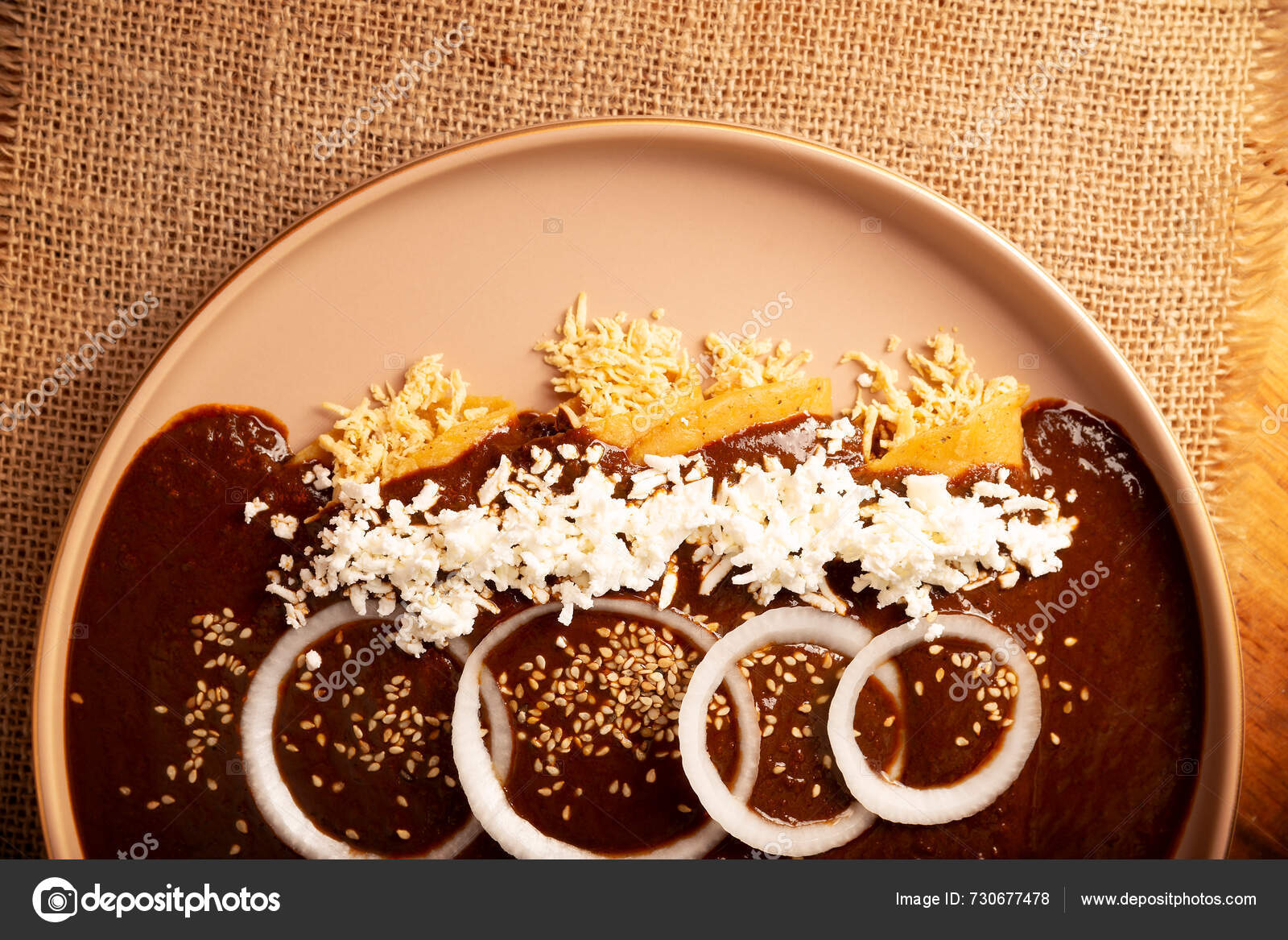 Chicken Enmoladas Also Known Mole Poblano Enchiladas Typical Mexican ...
