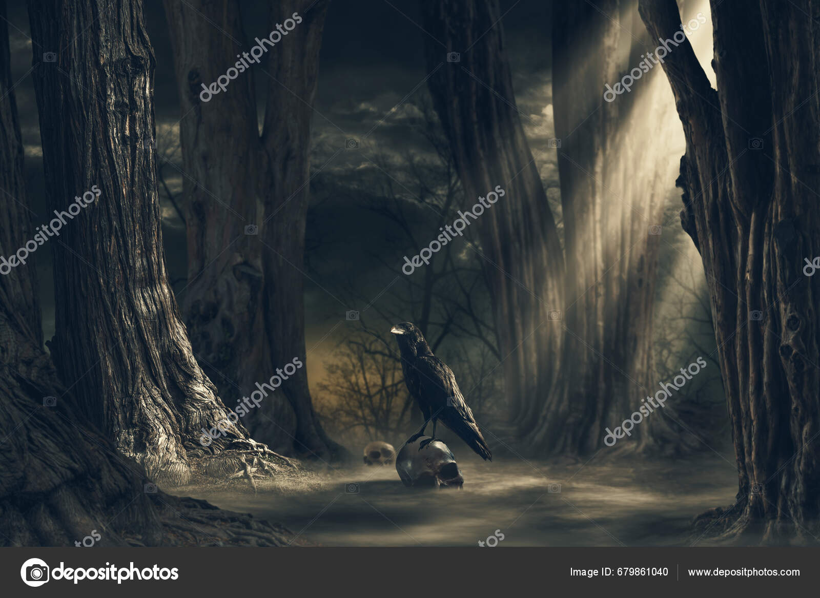 Scary Crow Human Skull Trees Horror Background — Stock Photo © stokkete ...
