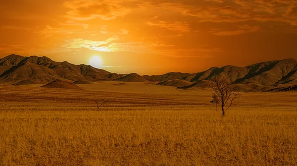 Iraq desert landscape Stock Photos, Royalty Free Iraq desert landscape ...