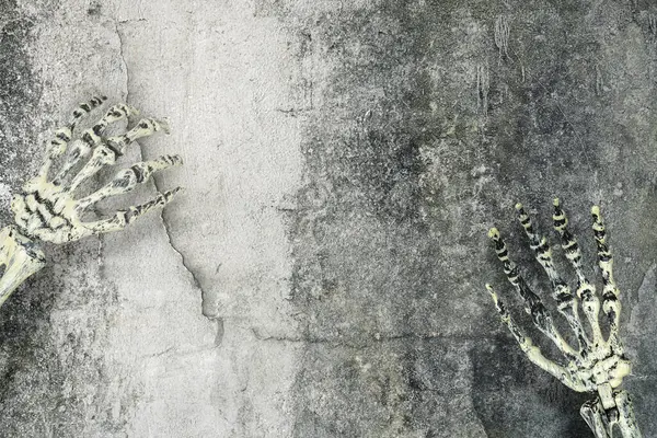 Skeleton Hand Reaching