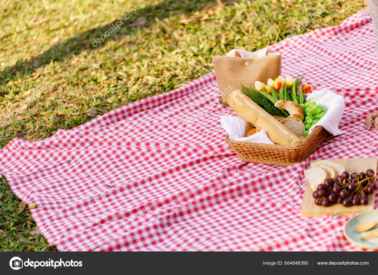 Picnic Lunch Meal Outdoors Park Food Picnic Basket Enjoying Picnic ...