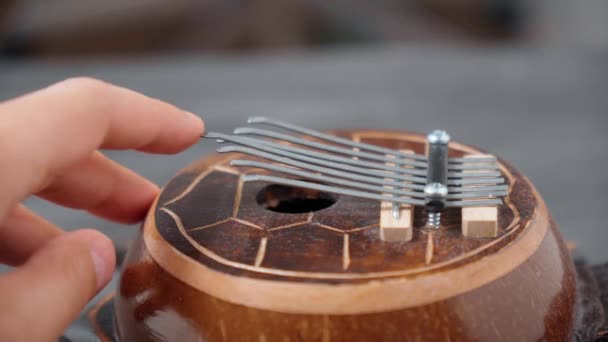 Kalimba Turtle Black Background Traditional Musical Instrument Folk ...