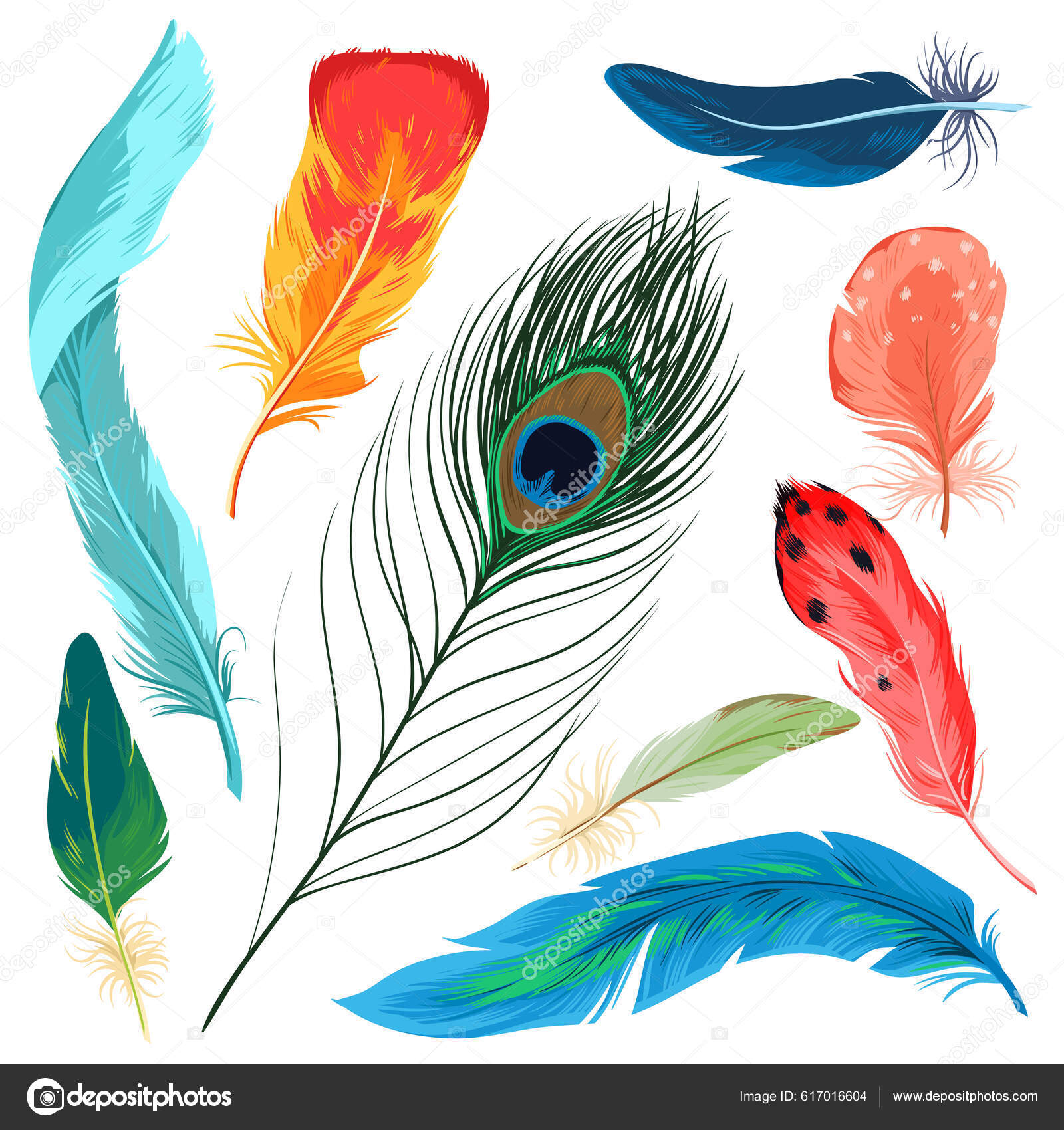 Feathers Set Vector Illustration Cartoon Isolated Colorful Nature ...