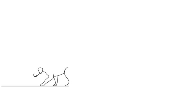 Animated Continuous Single Line Drawing Donkey Line Art Animation ストック ...