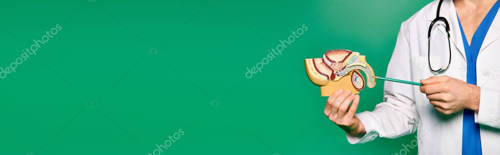 Doctor explora el modelo de cuerpo humano en el entorno médico en el ...