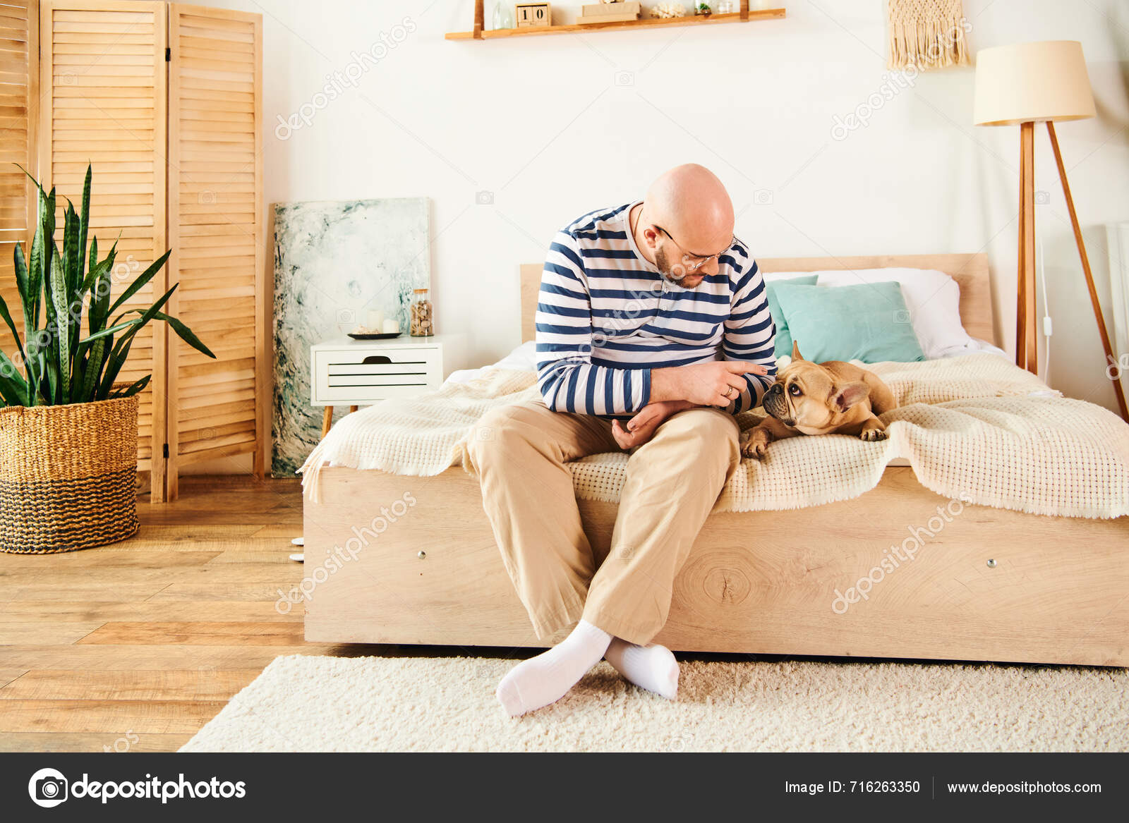 Handsome Man Sitting Bed Relaxing Loyal French Bulldog — Stock Photo ...