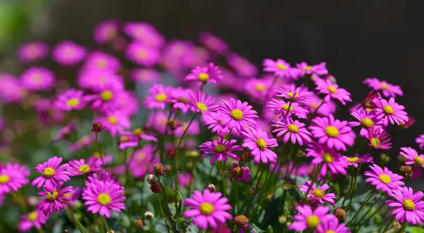 vencav Portfolio: Stock Photos, Vectors, Video, Audio | Depositphotos