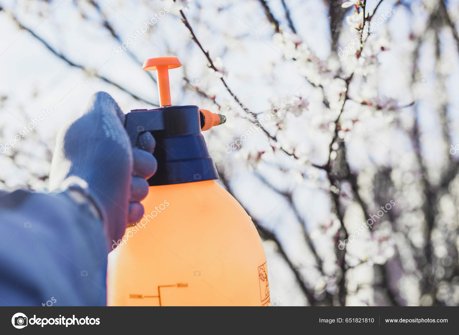 Procesamiento Primavera Árboles Rociando Jardín Plagas Enfermedades Con ...