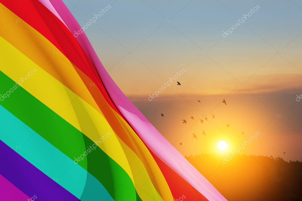 Waving LGBT pride flag on sunset sky with flying birds, rainbow flag ...
