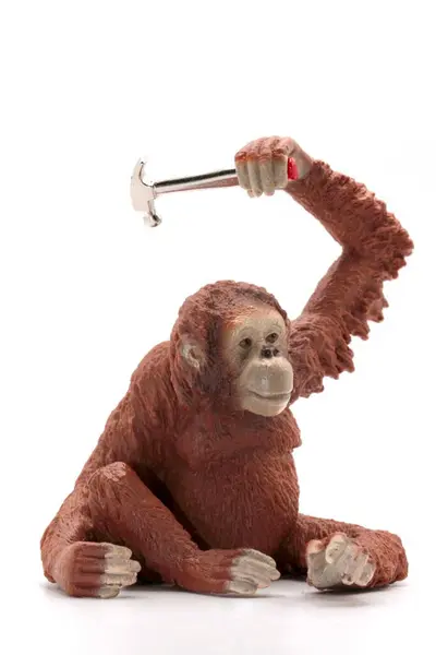 10,000,000+ imágenes de Monkey with hammer libres de derechos ...