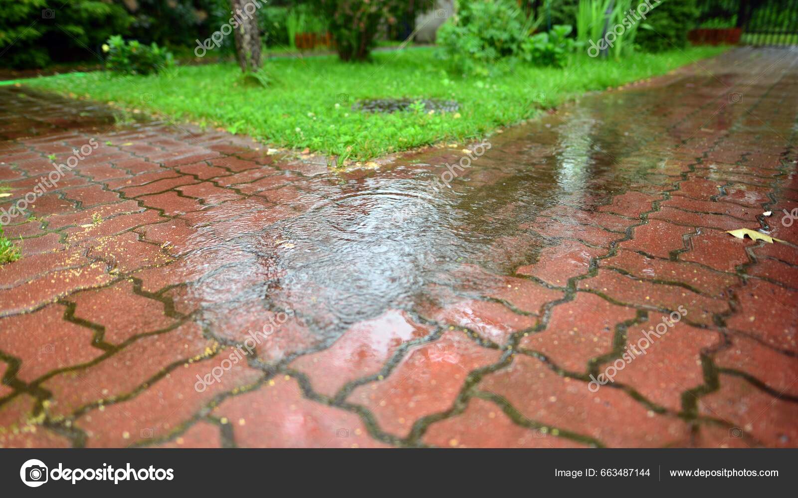 Rain Puddle On Sidewalk