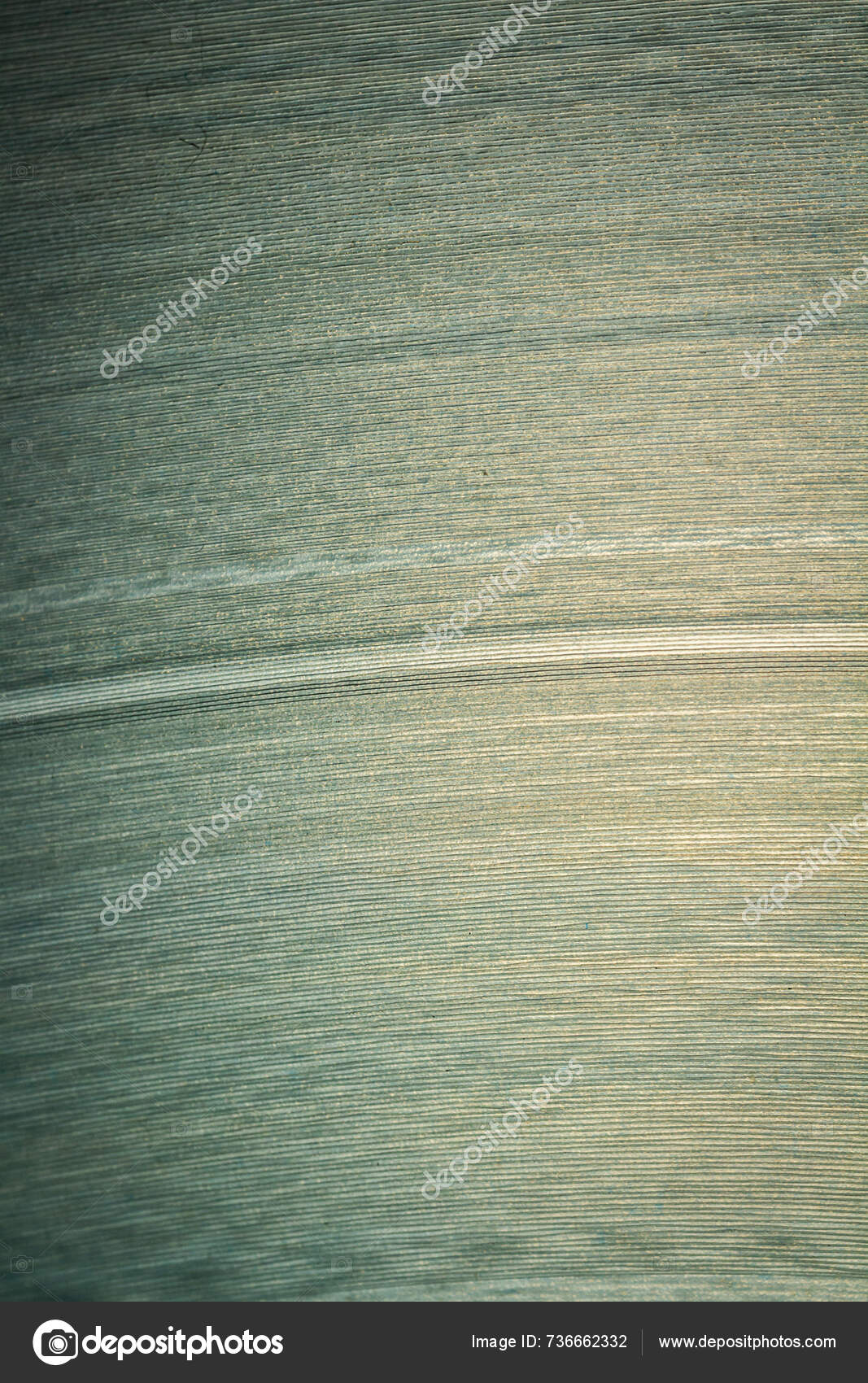 Macro Shot Cyan Vinyl Record Surface Old Vinyl Record Shallow — Stock ...