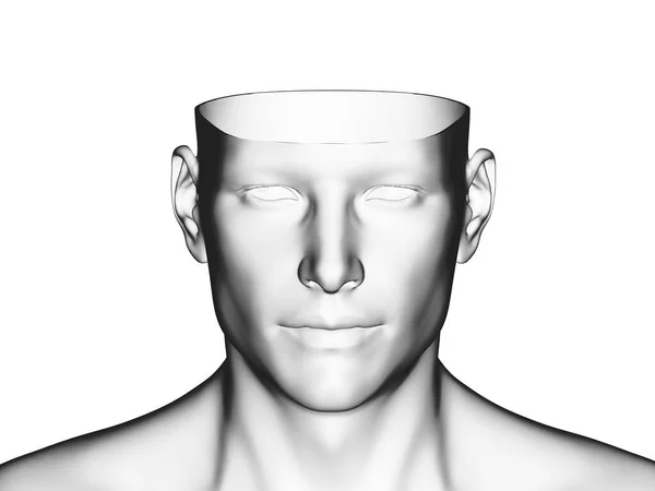 Head anatomy Stock Photos, Royalty Free Head anatomy Images | Depositphotos