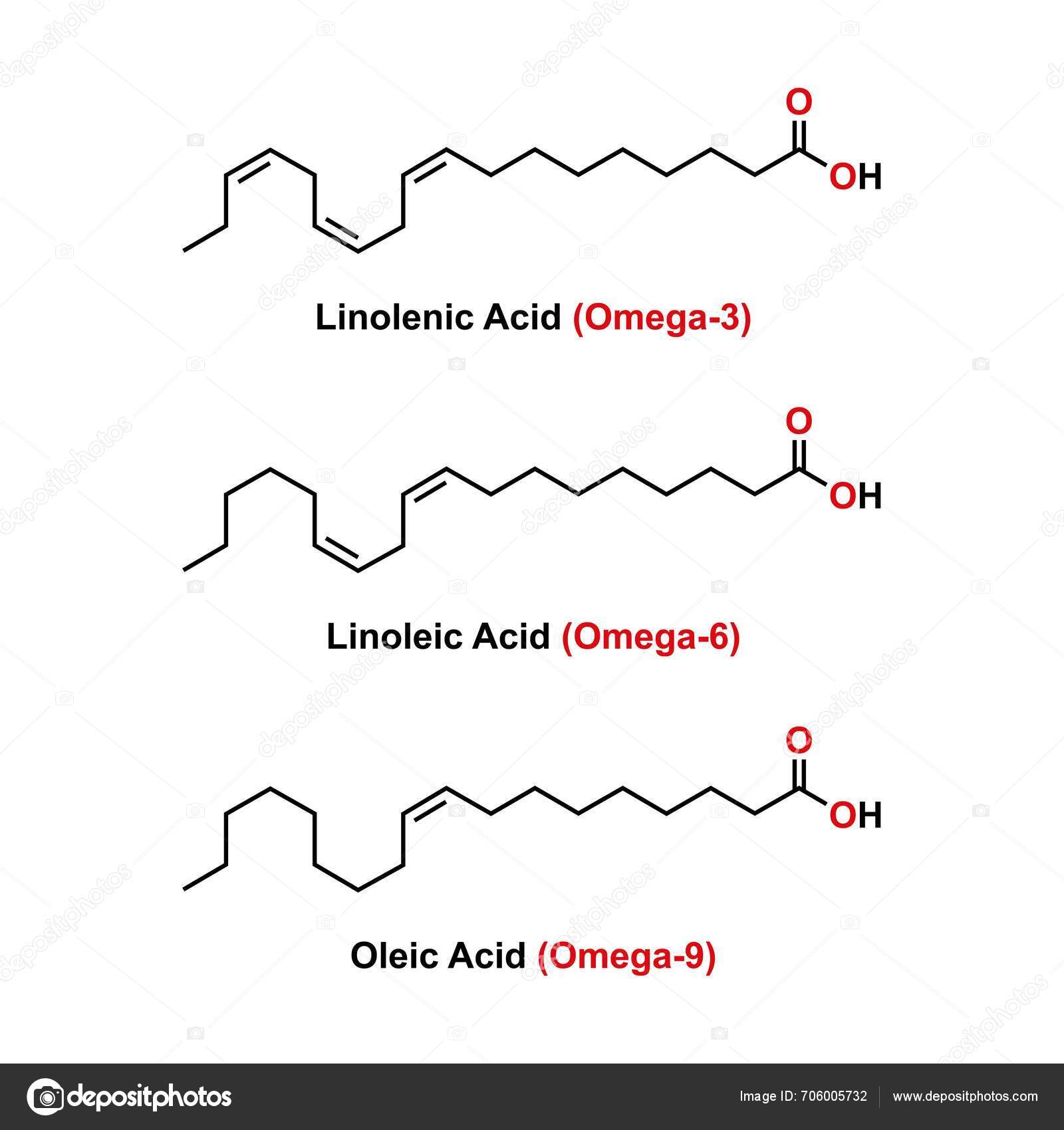 Chemical Structure Some Fatty Acids Linolenic Acid Linoleic Acid Oleic ...