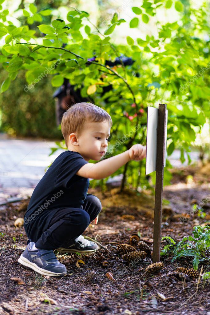 Un niño curioso explorando el mundo que lo rodea. Un niño pequeño que ...