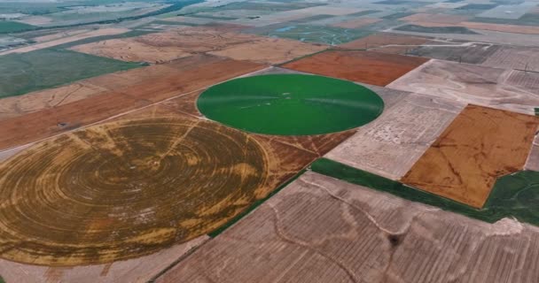 562 Farming techniques Stock Videos, 4K & HD Footage | Depositphotos