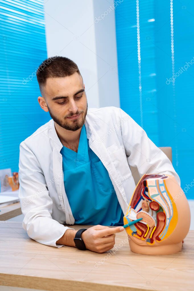 Doc muestra el modelo de anatomía en la clínica. Un profesional médico explica las ...