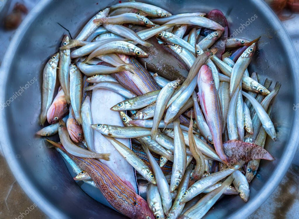Pescado de mar después de la captura vendida en el mercado de mariscos ...