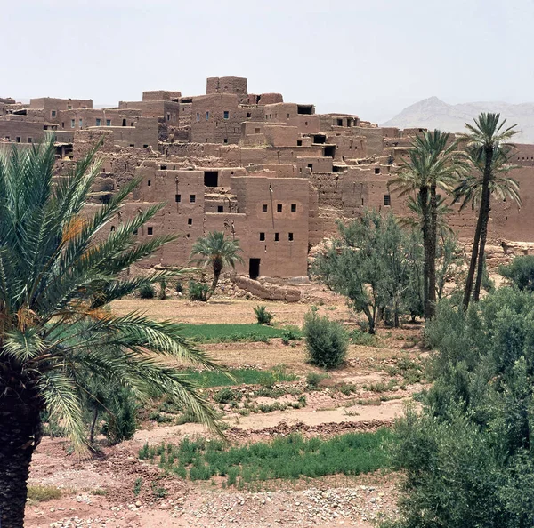 Fotos de El madar, Imagens de El madar sem royalties | Depositphotos