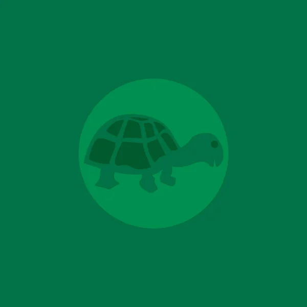 Turtle logo Stock Photos, Royalty Free Turtle logo Images | Depositphotos