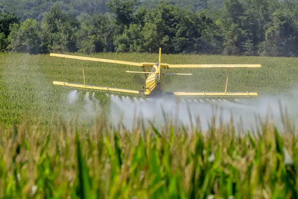 Crop duster Stock Photos, Royalty Free Crop duster Images | Depositphotos