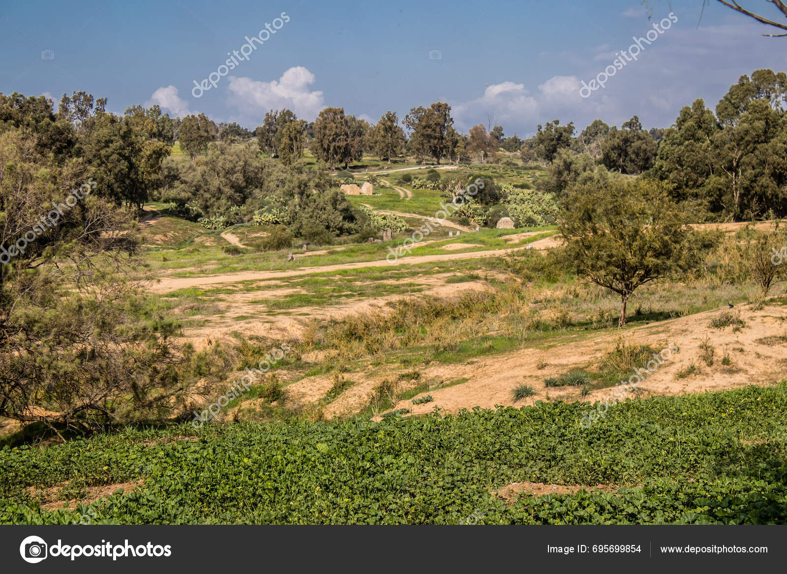 Re'im Israel January 2024 Landscape Site Nova Festival Massacre ...