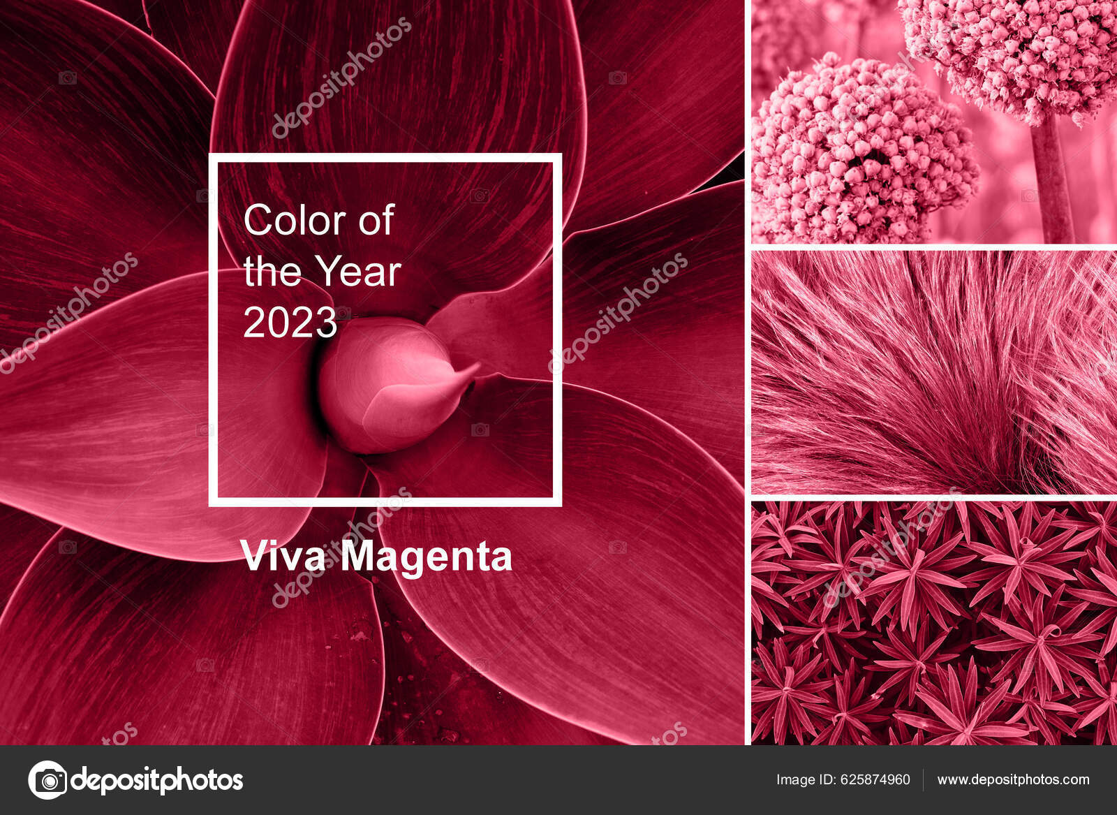 Trendy Color Year 2023 Viva Magenta Fashion Color Palette Sample Stock Photo by ©nunochka 625874960