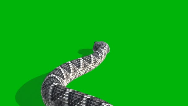 486 Green screen snake Videos, Royalty-free Stock Green screen snake ...