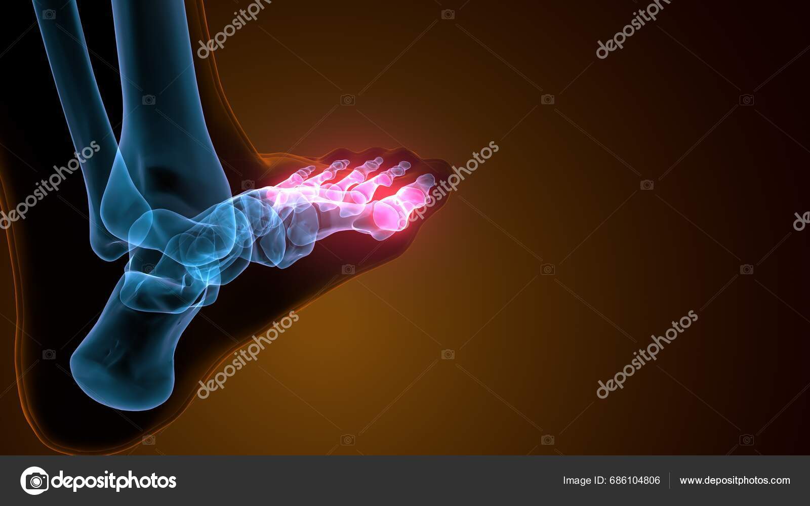 Proximale Phalangen Fußknochen Anatomie Rendering – Stockfoto © paihub ...
