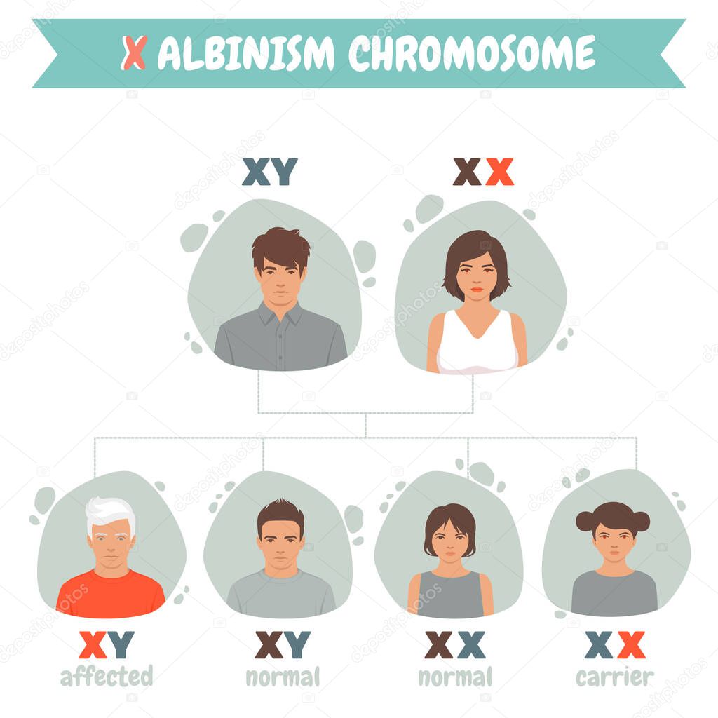 Albinos, hombres y mujeres con albinismo. Ilustración digital de la herencia recesiva donde ...