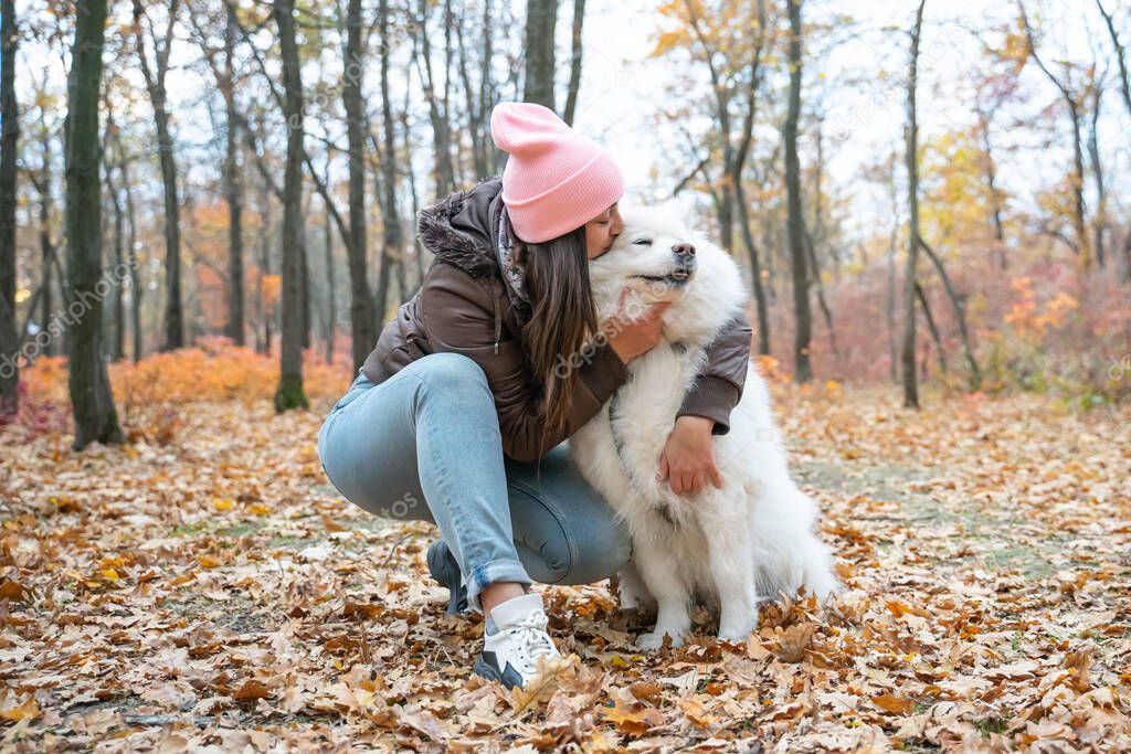 hermosa chica sonriente con perro Samoyedo en el parque de otoño ...