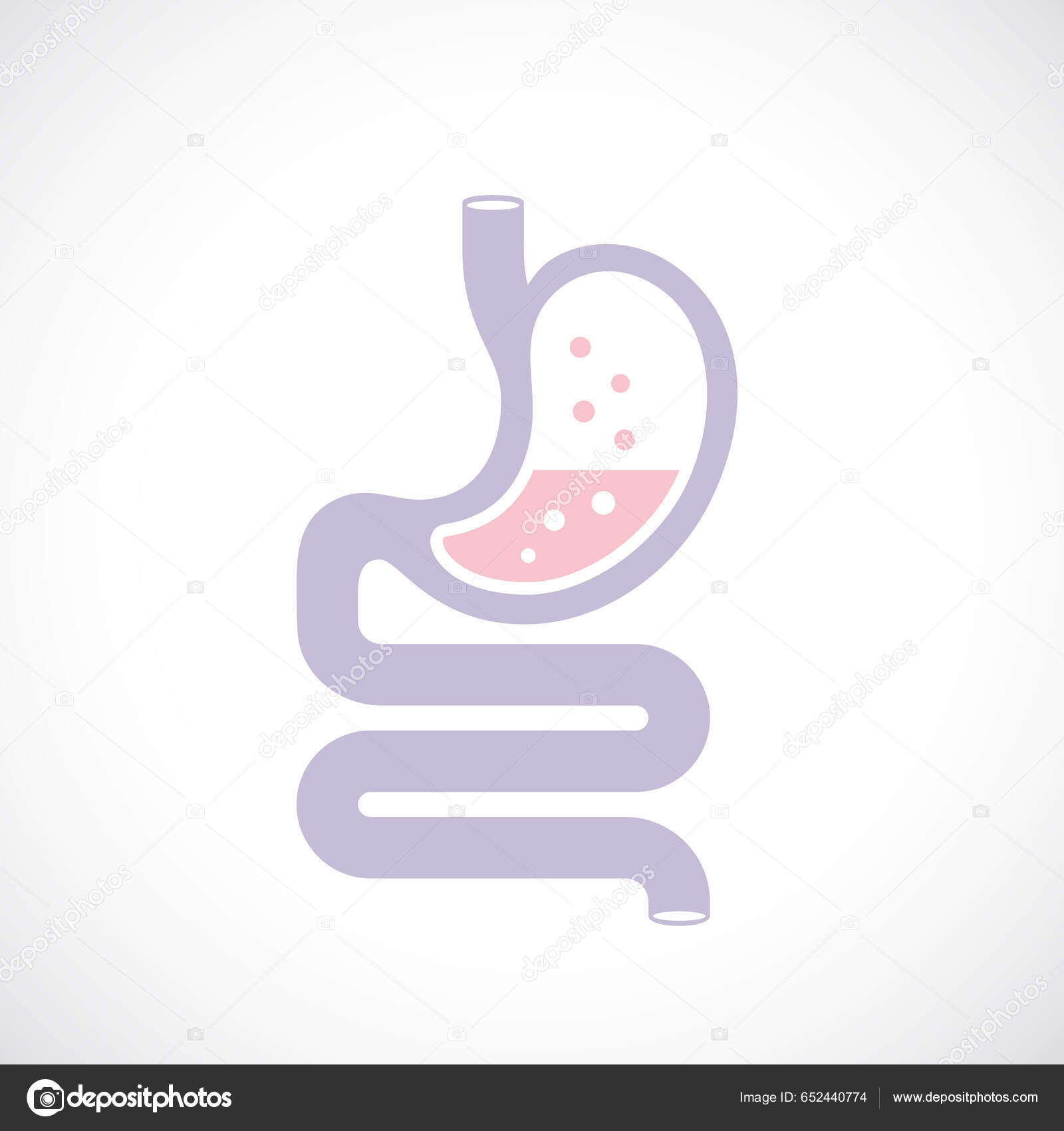 Digestive Tract Vector Icon Stock Vector by ©Arcady 652440774