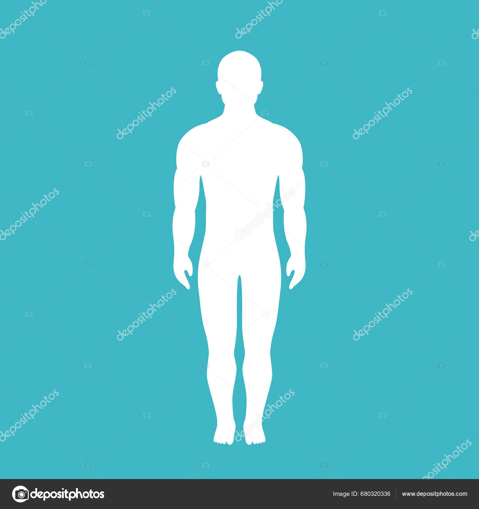 Silueta Vector Del Cuerpo Humano Vector de stock por ©Arcady 680320336