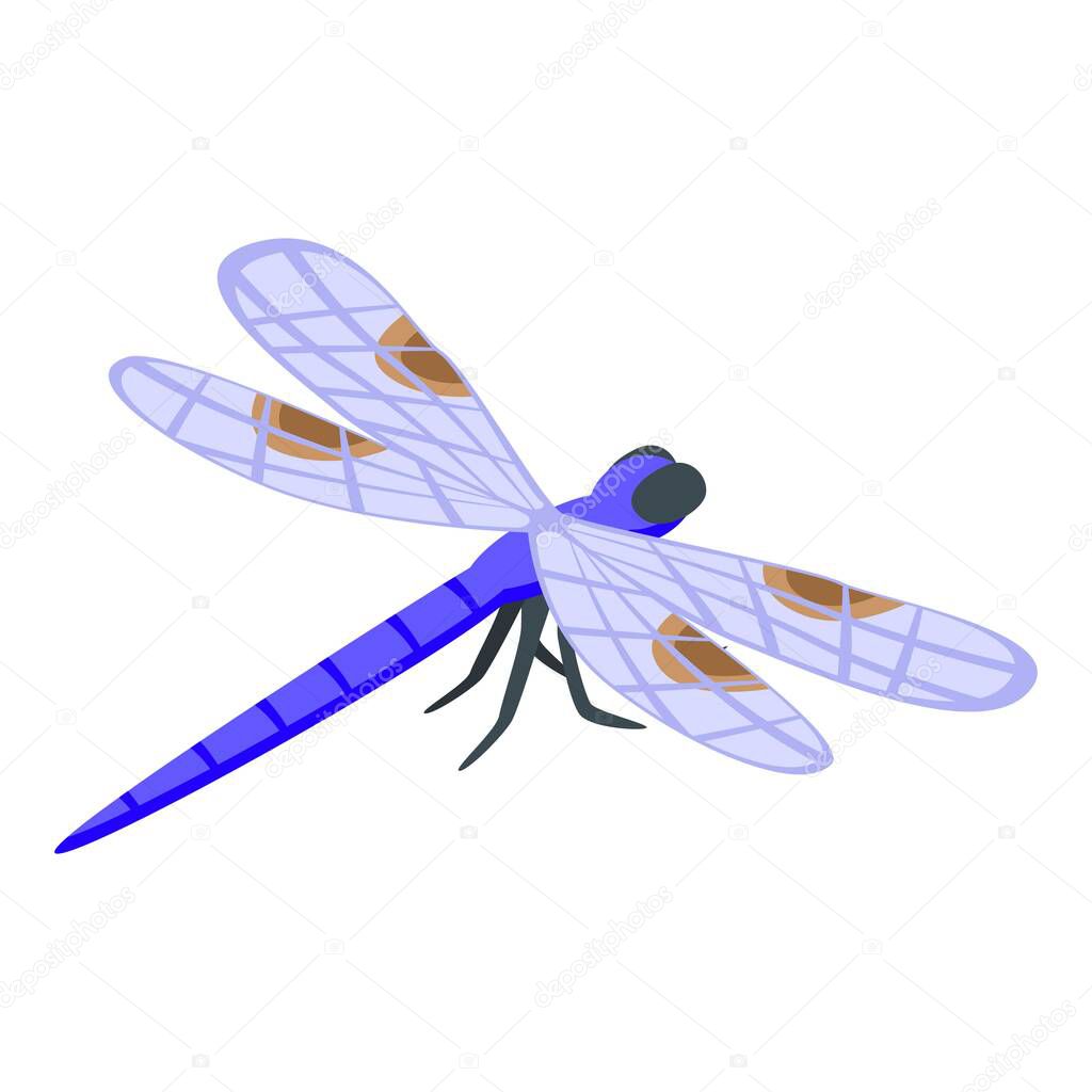 Macro libélula icono vector isométrico. Insecto ala. Volando lindo 2023