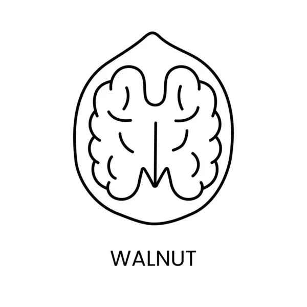 Walnut logo Stock Photos, Royalty Free Walnut logo Images | Depositphotos