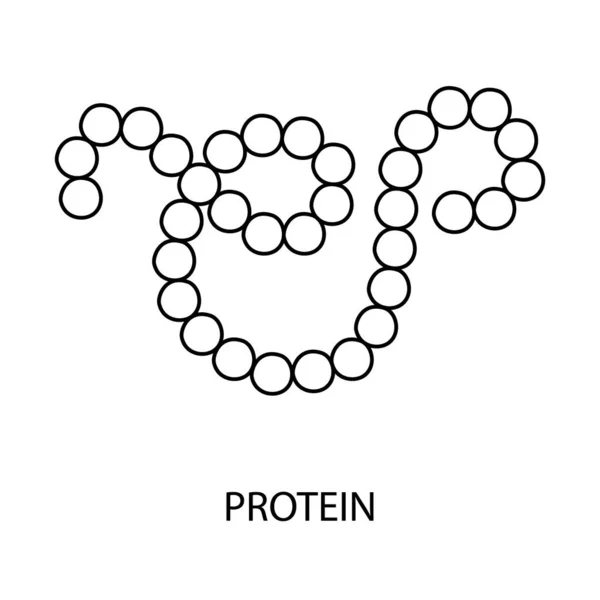 Protein molecules Stock Photos, Royalty Free Protein molecules Images ...