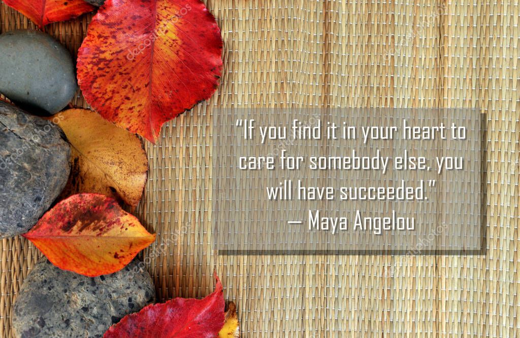 Feng Shui patrones de hojas, rocas, bambú con Maya Angelou cita. 2024