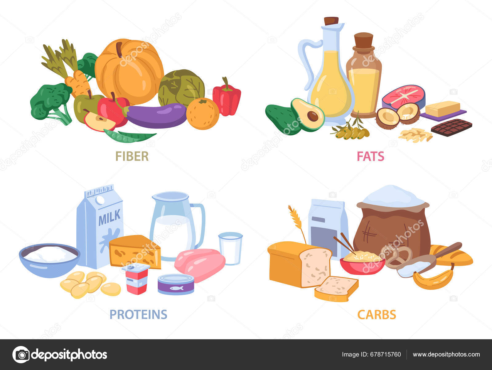 Vegetable Fruit Protein Grains Dairy Grains Proteins Dairy Vegetables