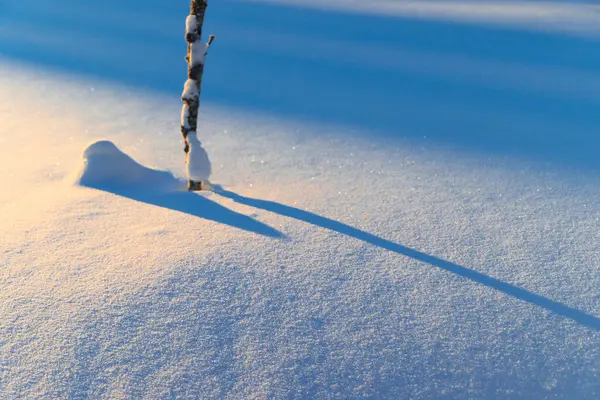 Bâton de neige images libres de droit, photos de Bâton de neige ...